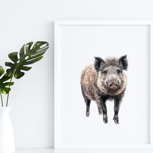 Realistic Wild Boar Clipart Set 26 PNG Images of Wild Boars in High ...