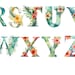 Watercolor Tropical Alphabet, Graphics in PNG Format Instant Download ...