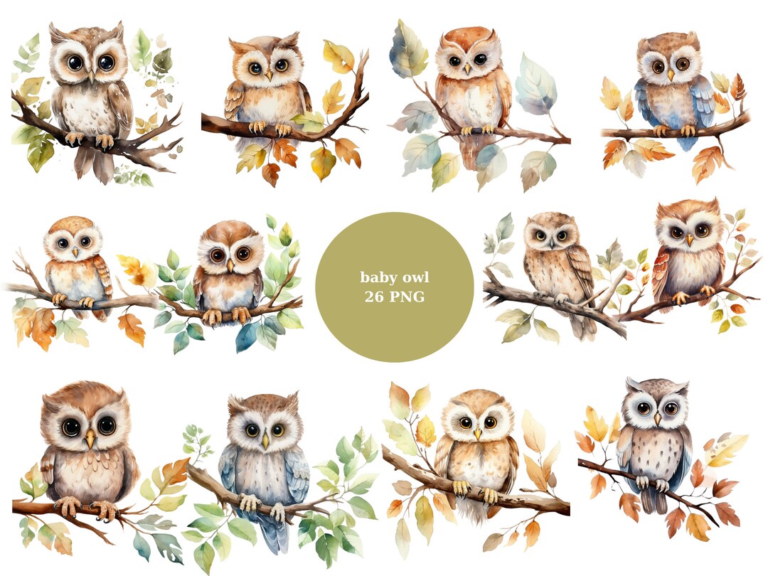 26 Baby Owls Watercolor Clipart, Cute Animals Clipart, PNG Individual ...