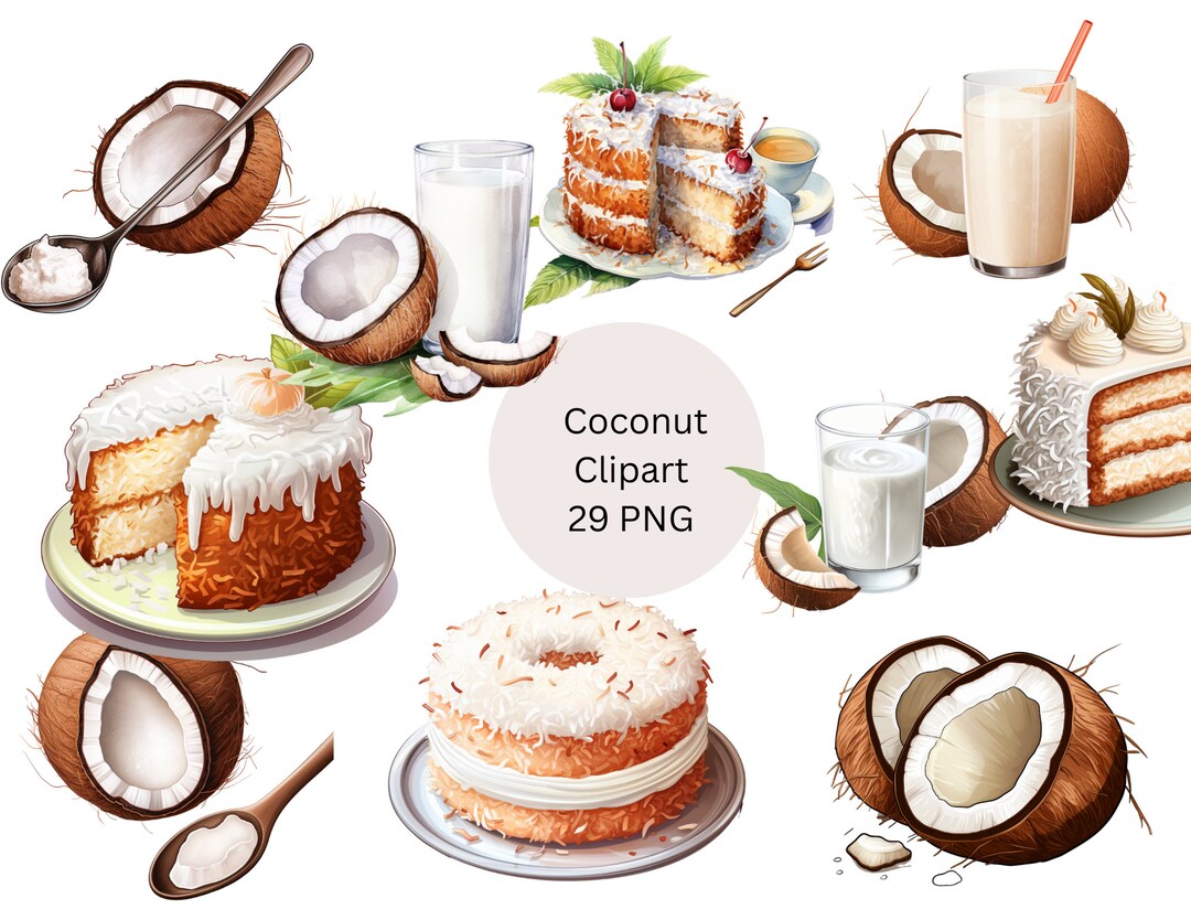 Coconut Clipart, PNG Digital Files on Transparent Background ...