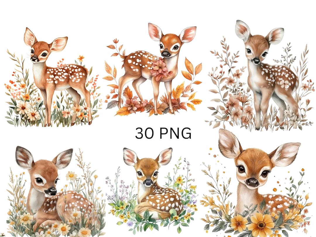 Adorable Woodland Fawn Clipart Set - 30 PNG Images of Baby Deer With ...