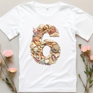 Seashell Numbers Watercolor Clipart, Beach Clipart, PNG Individual ...