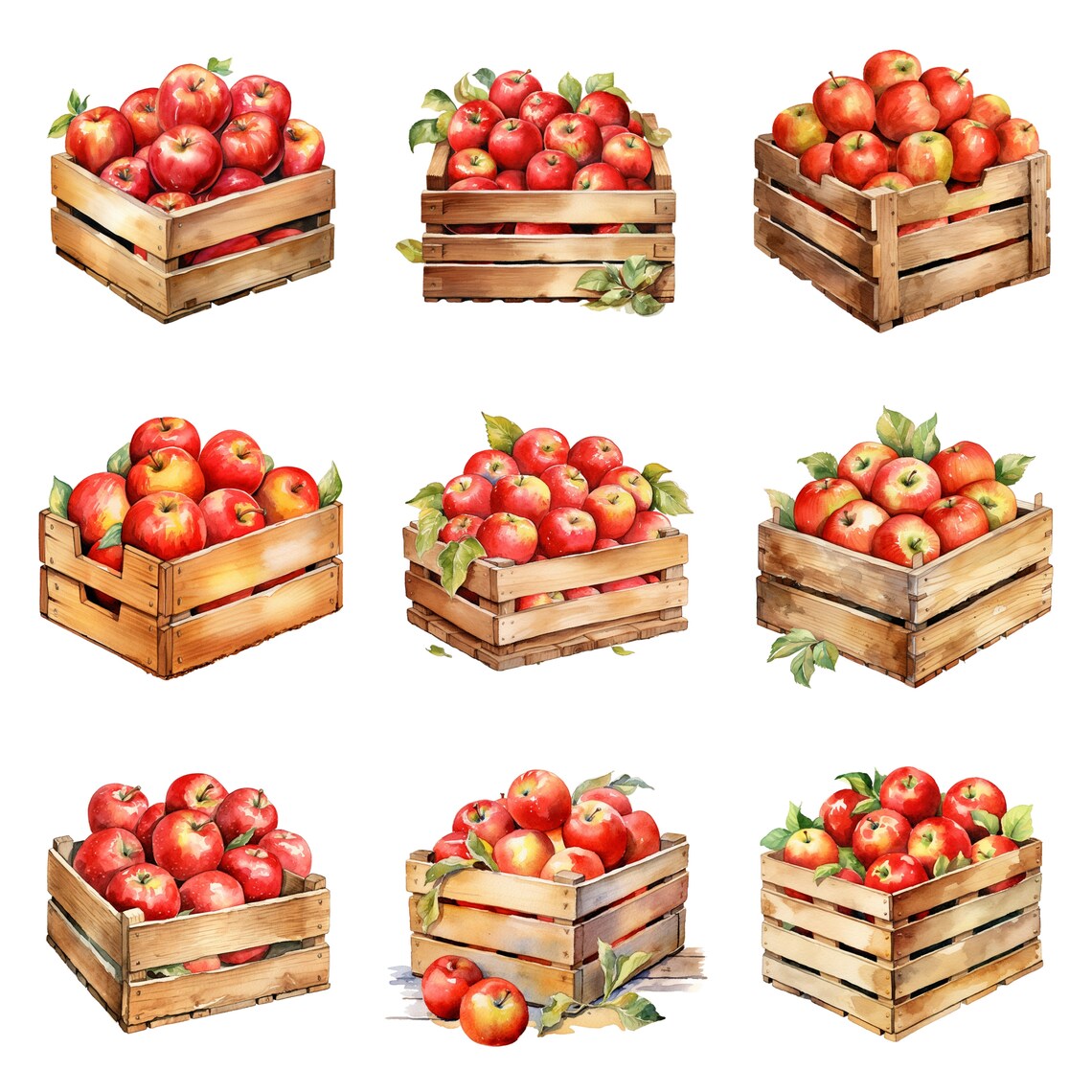 32 Fresh Apples in Wooden Crates Watercolor Clipart, Fruit Clipart, PNG ...
