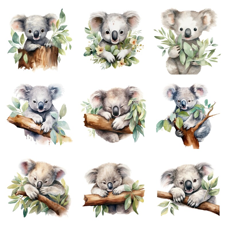 Watercolor Koalas Clipart, PNG Digital Files on a White Background ...