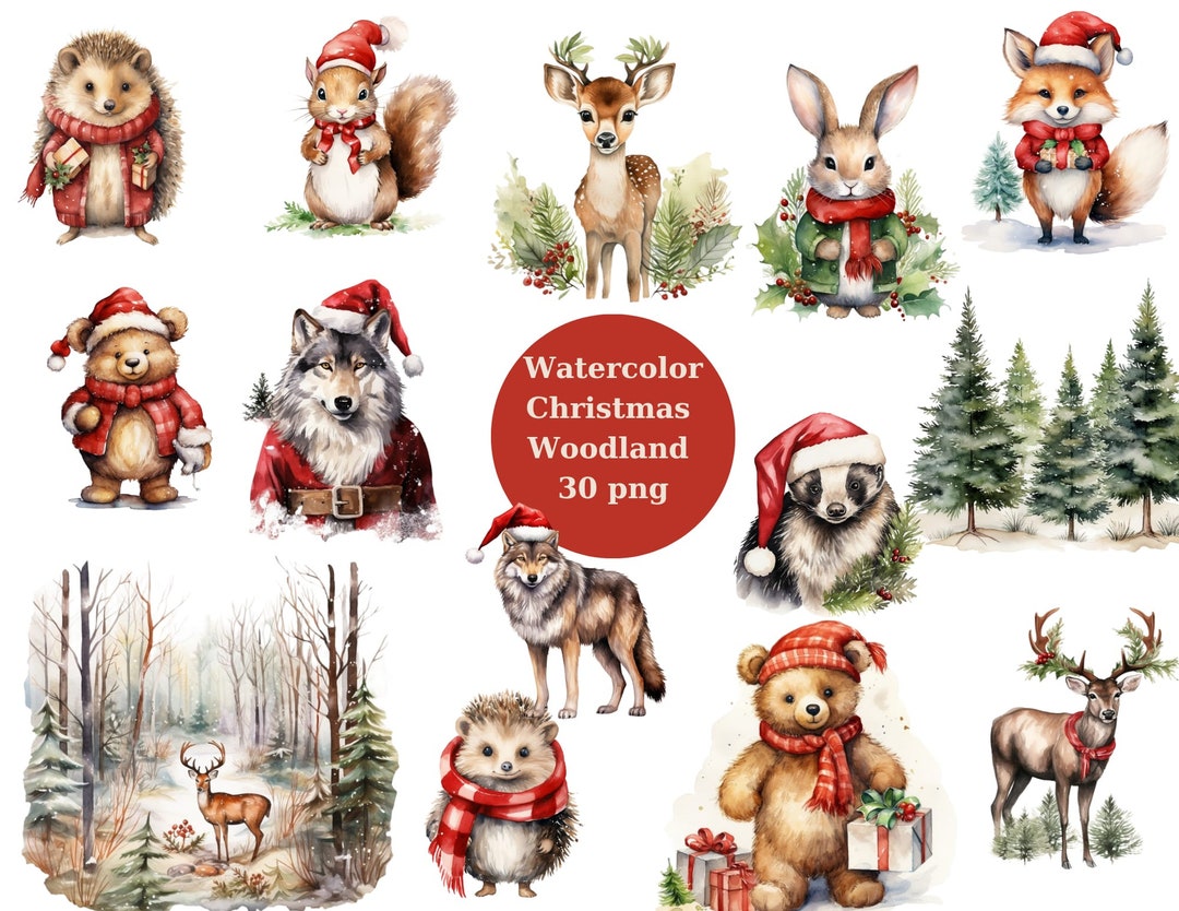 Woodland Christmas Clipart, Winter PNG, Forest Christmas Animals ...
