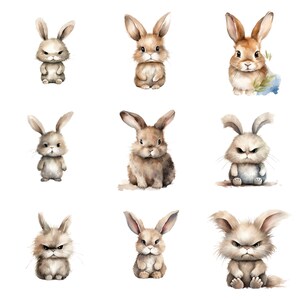 22 Grumpy Bunnies Watercolor Clipart, Bunny Clipart, PNG Individual ...
