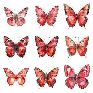 42 Red Diamond Butterfly, Insects Clipart, PNG Individual Images on ...