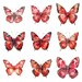 42 Red Diamond Butterfly, Insects Clipart, PNG Individual Images on ...