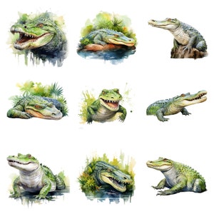 Watercolor Alligators Clipart, PNG Digital Files on a Transparent ...