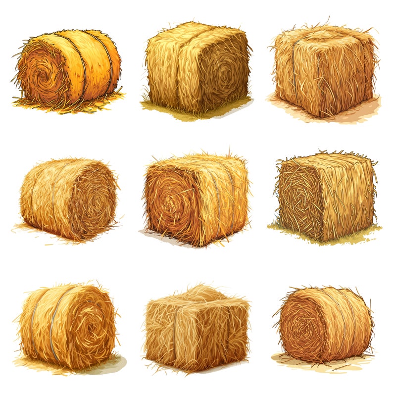 Hay Bales Clipart, PNG Individual Images on Transparent Background ...