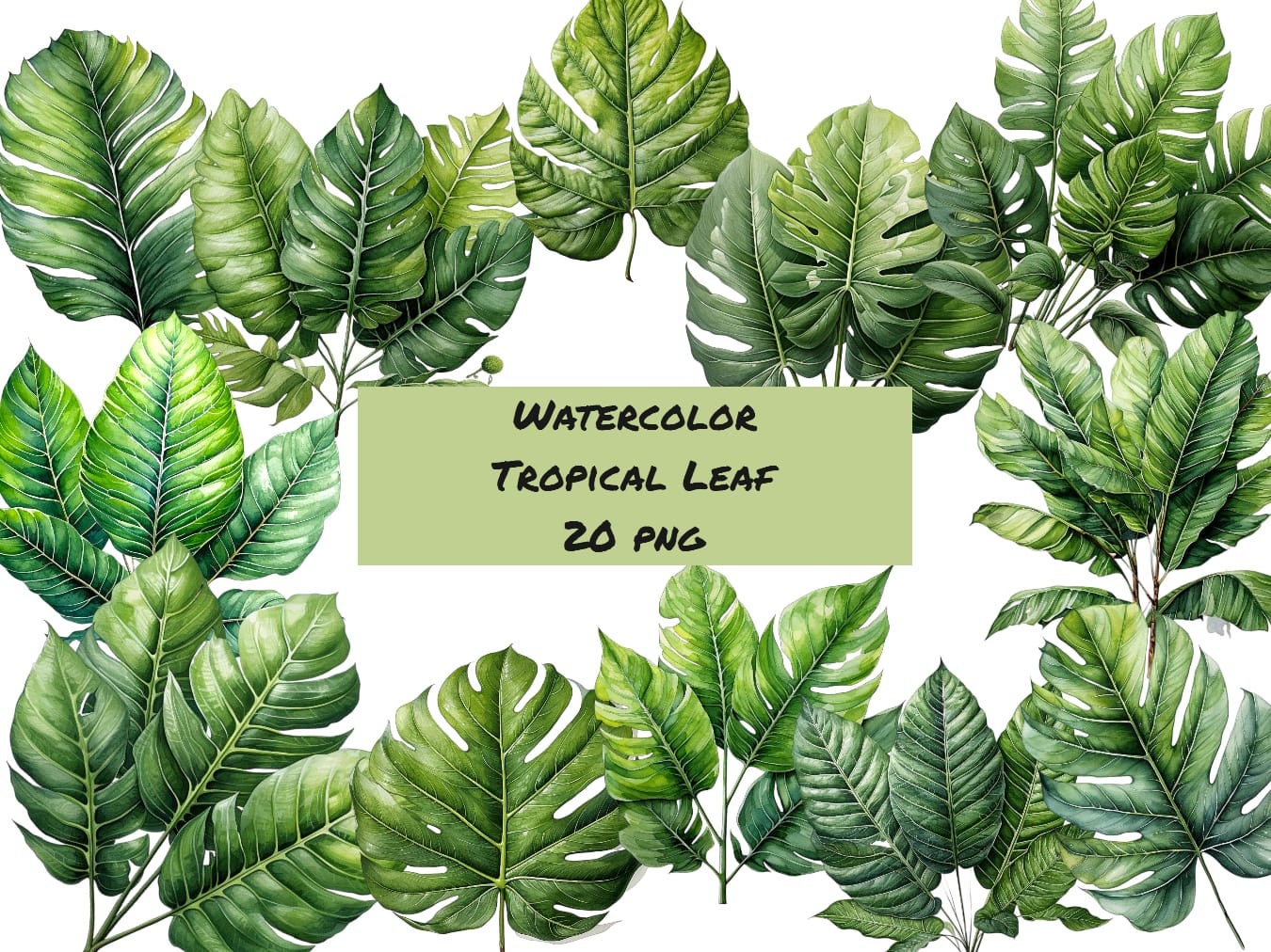 Watercolor Tropical Leaf Clipart PNG Digital Files on - Etsy