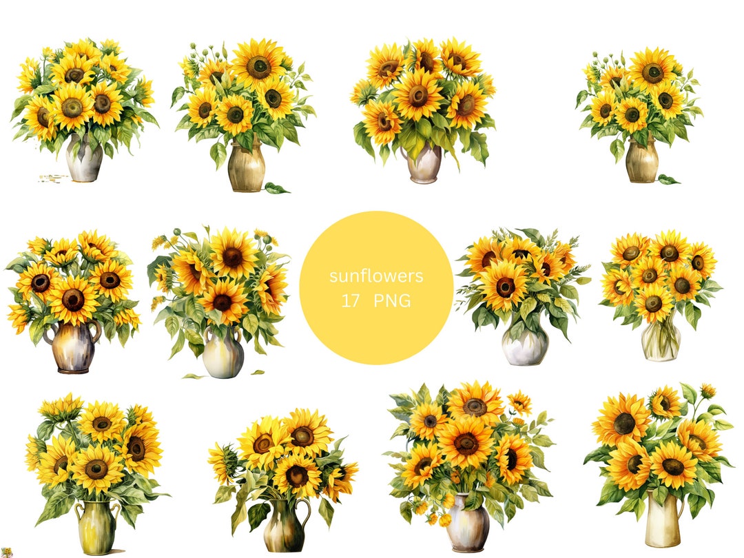 17 Sunflowers in Vases Watercolor Clipart, Floral Clipart, PNG ...