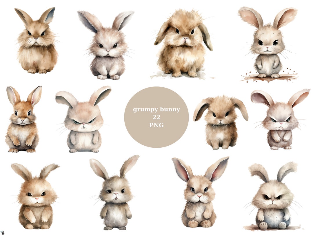 22 Grumpy Bunnies Watercolor Clipart, Bunny Clipart, PNG Individual ...