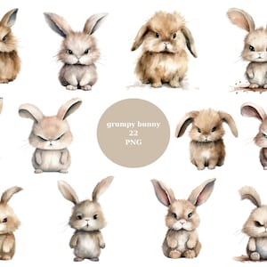 22 Grumpy Bunnies Watercolor Clipart, Bunny Clipart, PNG Individual ...