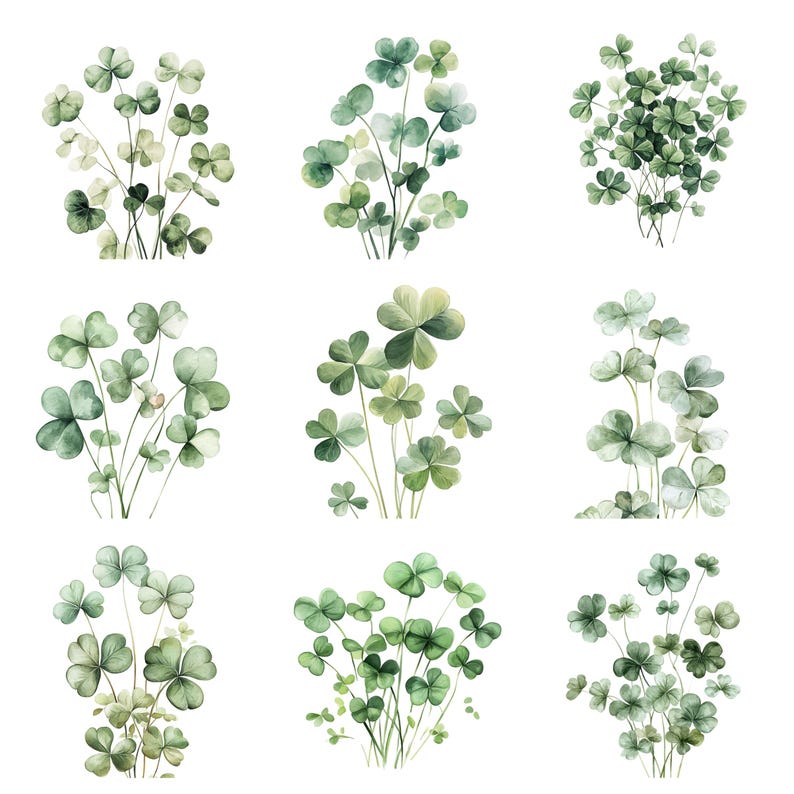 31 Shamrock Watercolor Clipart, Nature Clipart, PNG Individual Images ...