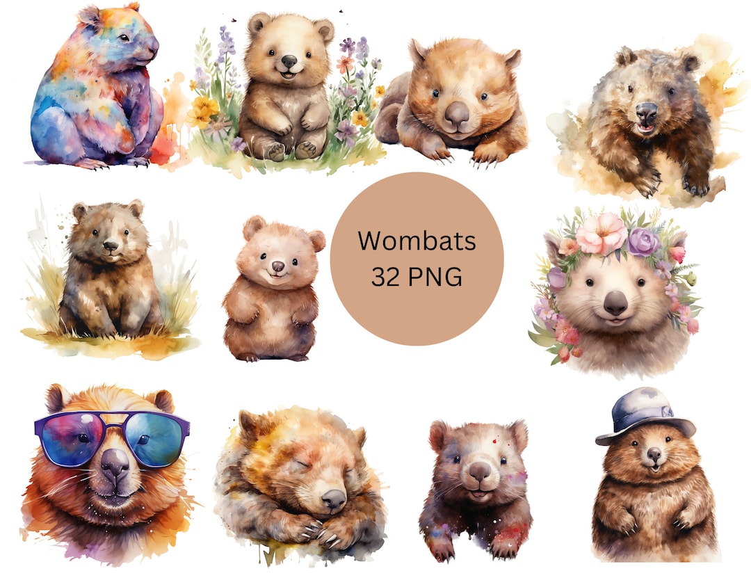 Watercolor Wombats Clipart, PNG Digital Files on a Transparent ...