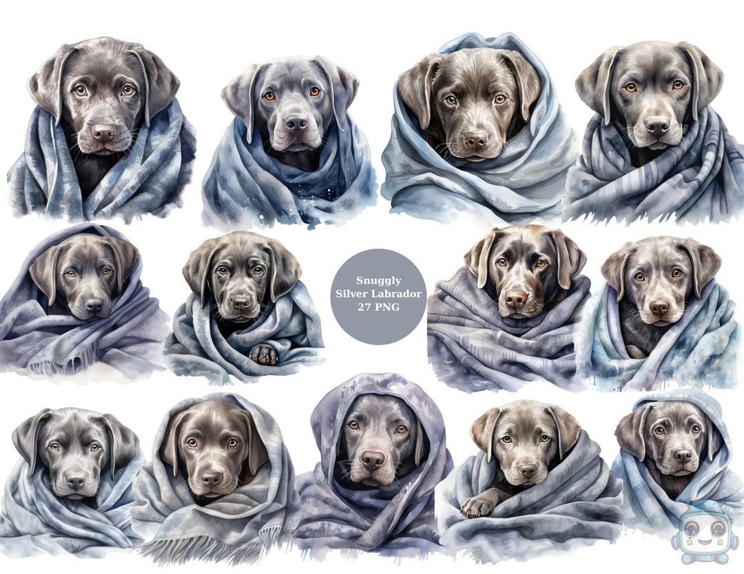 27 Snuggly Silver Labs Watercolor Clipart, Dogs Clipart, PNG Individual ...