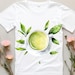 13 Green Tea Watercolor Clipart, PNG Digital Files on Transparent ...