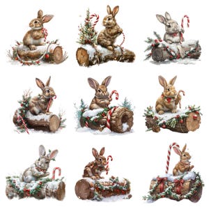 12 Bunnies With Candy Cane Clipart, Christmas Clipart, PNG Individual ...