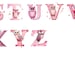 Pink Owl Alphabet, Letters Png, Alphabet Png, Instant Download for ...
