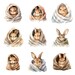 29 Snuggly Bunnies Watercolor Clipart, Bunny Clipart, PNG Individual ...