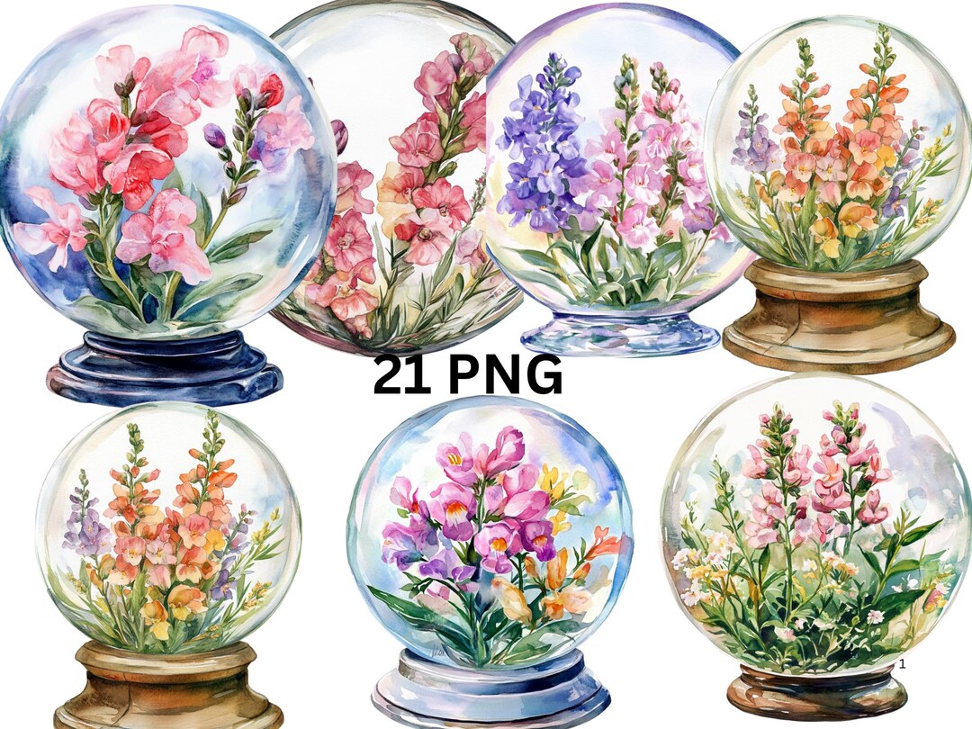 21 Snapdragon in Crystal Ball Watercolor Clipart, Floral Clipart, PNG ...