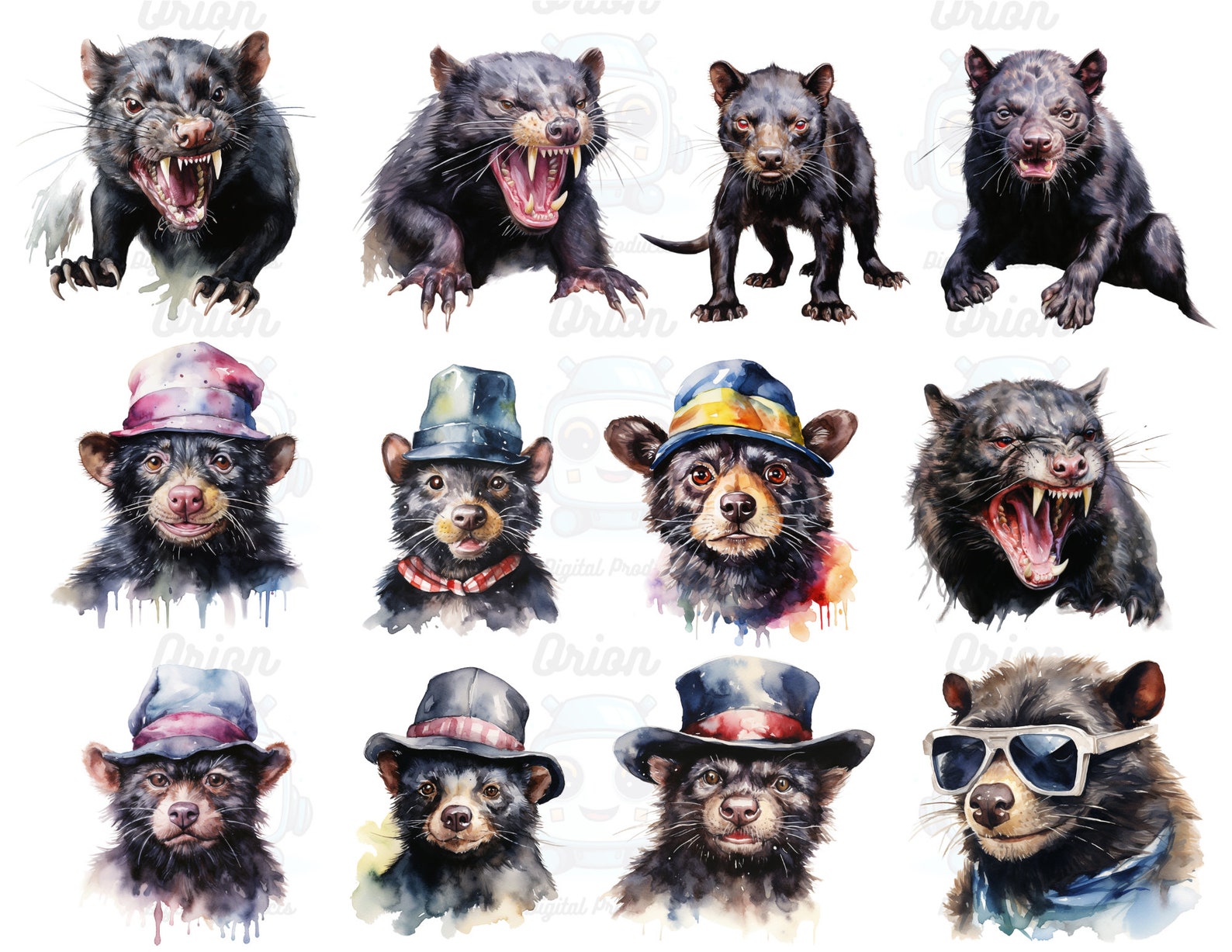 Watercolor Tasmanian Devil Clipart, PNG Digital Files on a Transparent ...