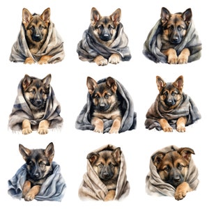 29 Snuggly German Shepherds Watercolor Clipart, Pets Clipart, PNG ...