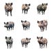 Realistic Wild Boar Clipart Set 26 PNG Images of Wild Boars in High ...