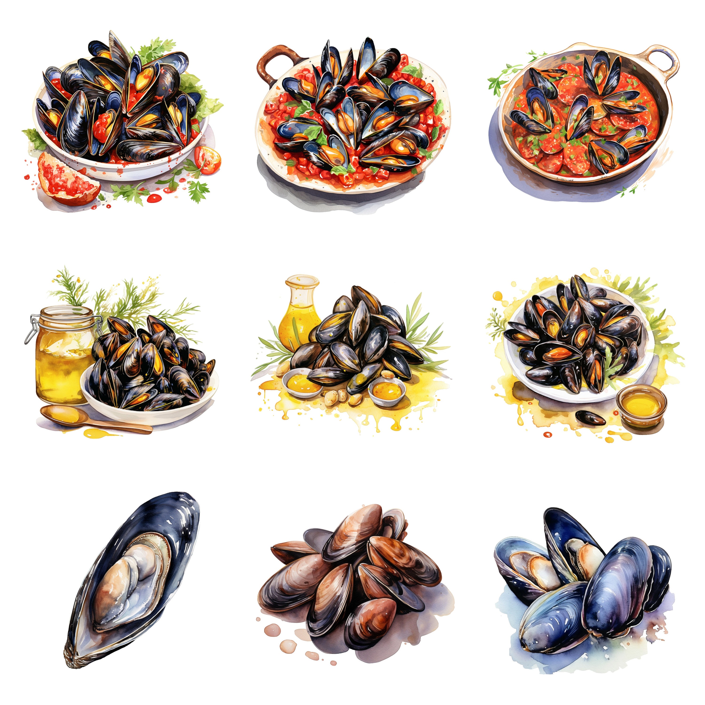 Watercolor Mussels Clipart PNG Digital Files on Transparent - Etsy