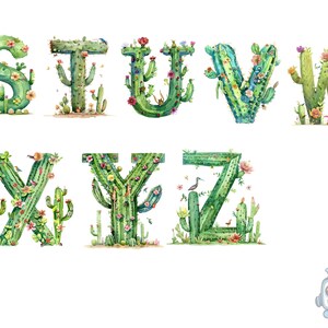 Cactus Alphabet Clipart, Alphabet Clipart, PNG Individual Images on ...