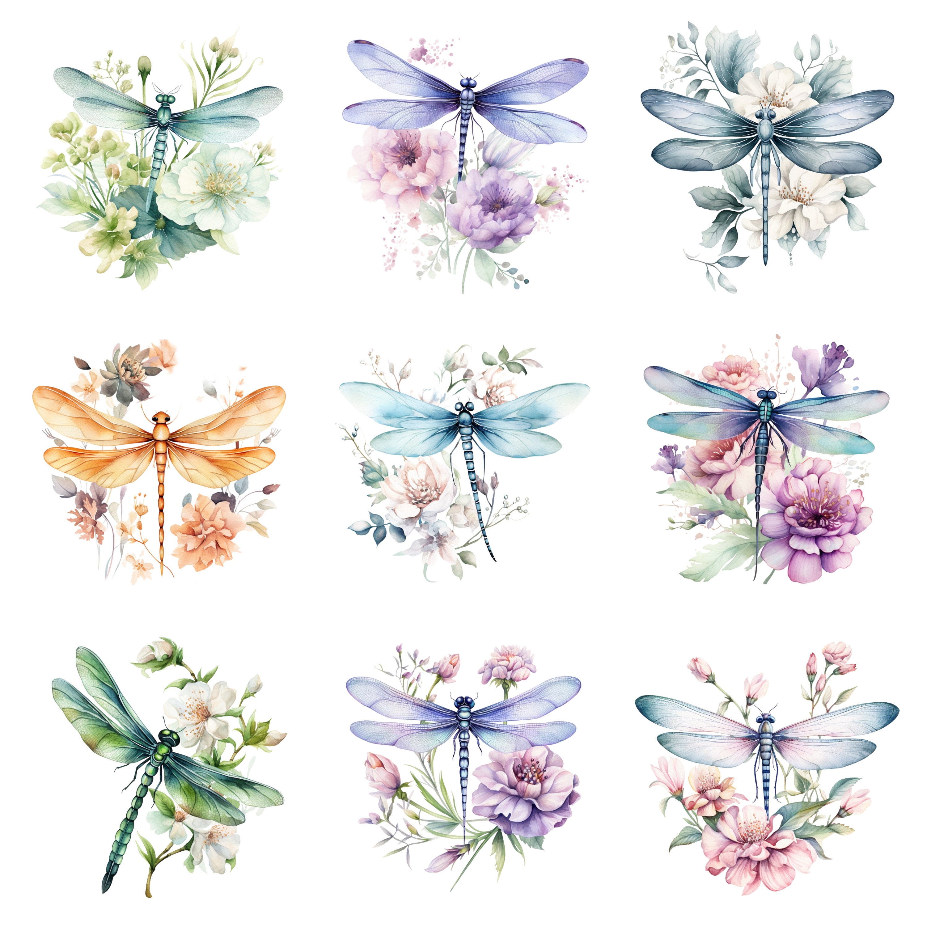 Watercolor Floral Dragonflies Clipart, PNG Digital Files on Transparent ...