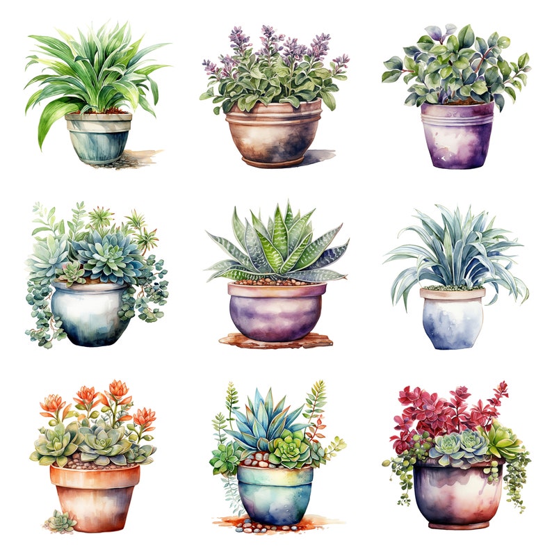 Watercolor Plants in Pots Clipart PNG Digital Files on - Etsy