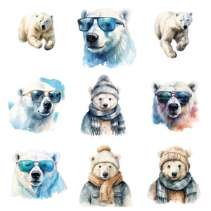 Watercolor Polar Bears Clipart, PNG Digital Files on Transparent ...