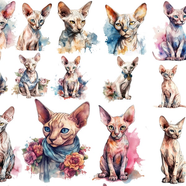 Sphynx - Etsy