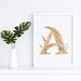 Watercolor Wheat Alphabet, Letters, PNG Individual Images, Commercial ...