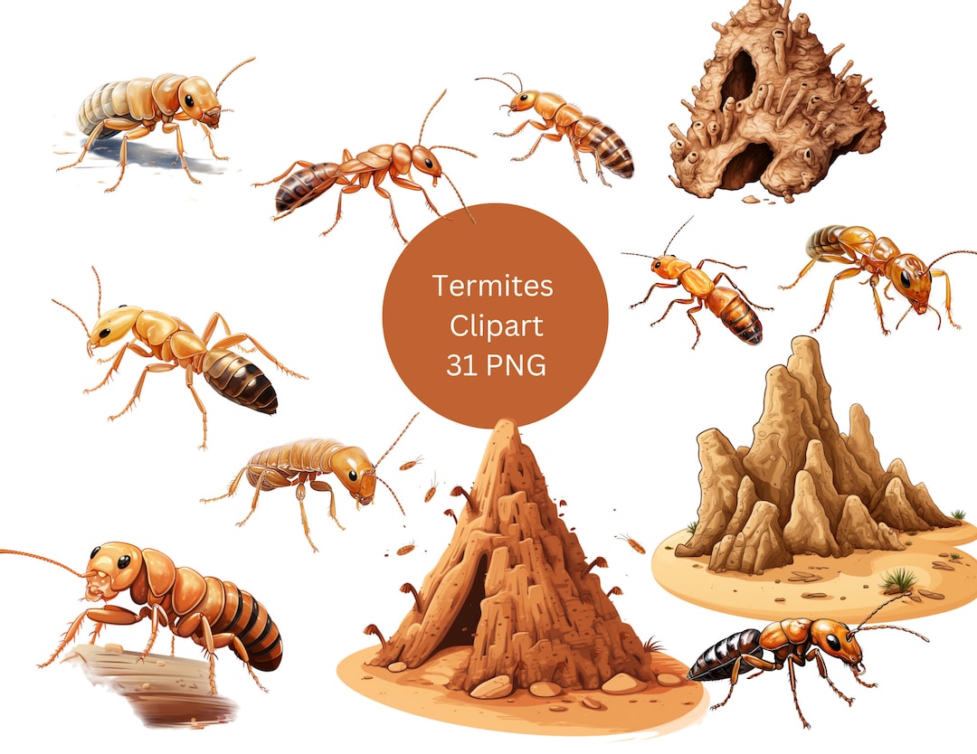 Termites Clipart, PNG Digital Files on Transparent Background ...