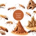 Termites Clipart, PNG Digital Files on Transparent Background ...