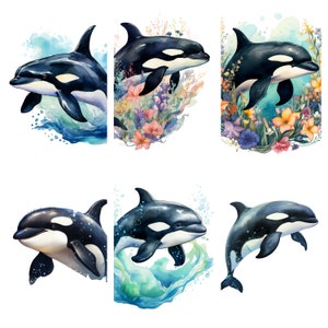 Watercolor Orcas Clipart, Killer Whales Clipart, PNG Digital Files on ...