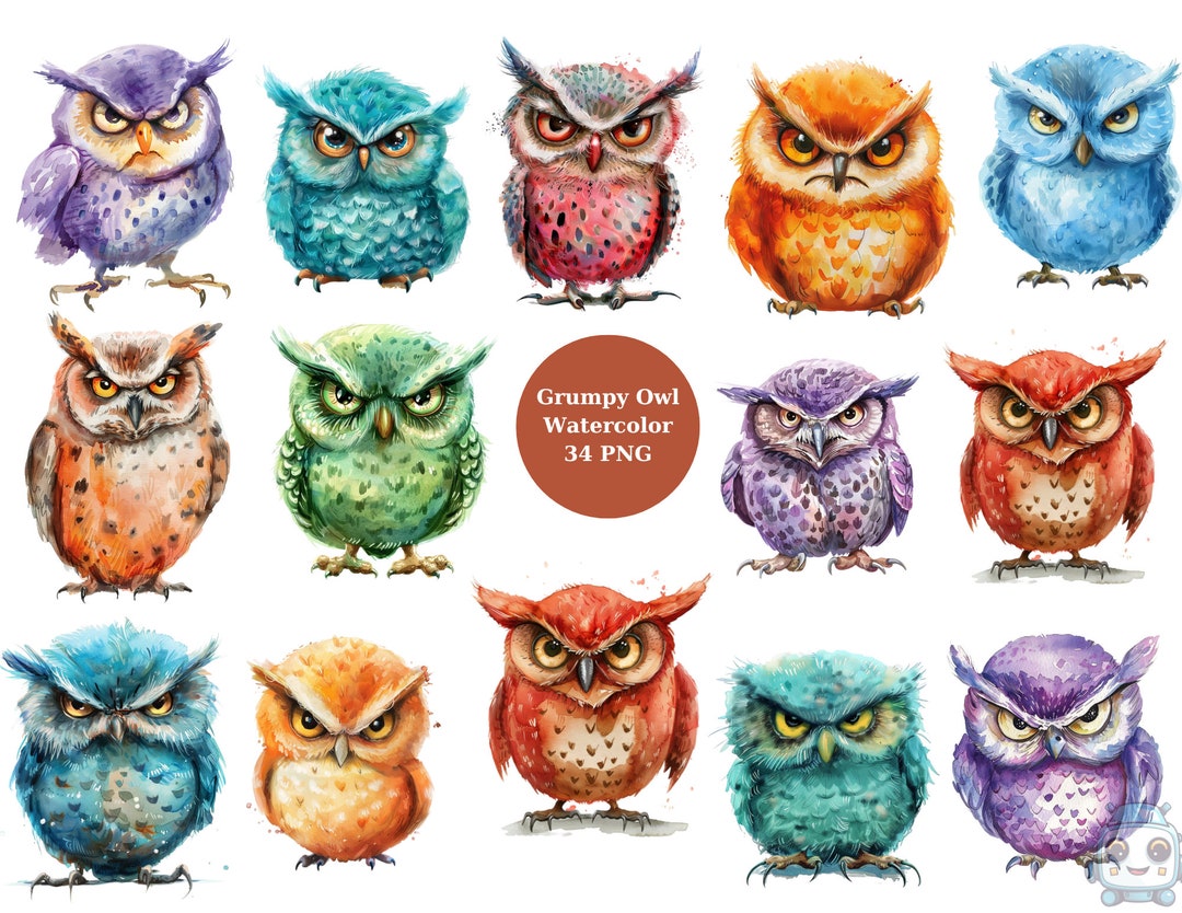 Watercolor Grumpy Owl Clipart, PNG Digital Files on Transparent ...