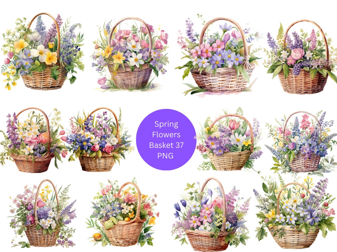 37 Spring Flowers Basket Watercolor Clipart, Floral Clipart, PNG ...