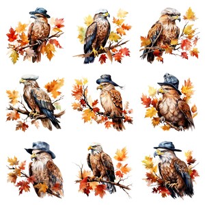 21 Eagle With Hats Watercolor Clipart, Fall Eagles, Fall Clipart, PNG ...