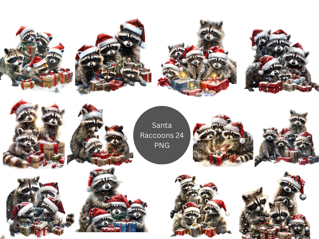 24 Santa Raccoons Clipart, Christmas Clipart, PNG Individual Images on ...