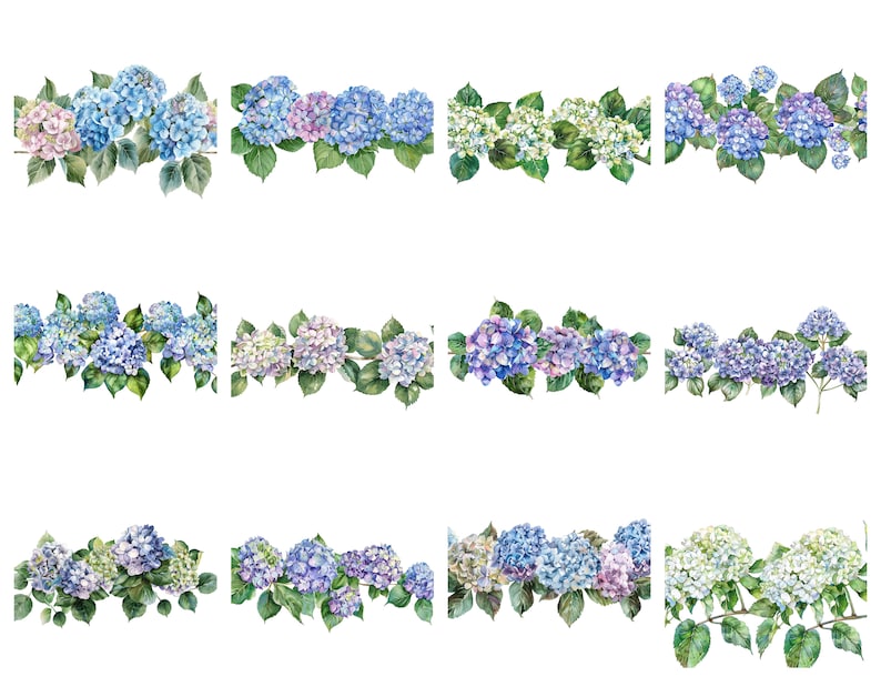 43 Hydrangeas Borders Watercolor Clipart, Floral Clipart, PNG Digital ...