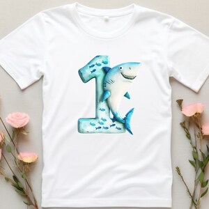 Watercolor Cute Shark Numbers Clipart, Shark Clipart, PNG Individual ...