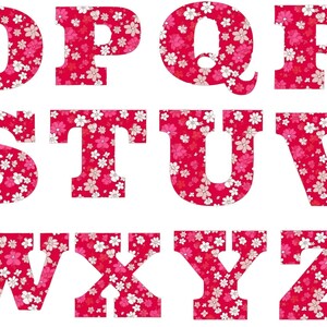 Pink Alphabet Clipart , Floral Alphabet, Transparent Background, High ...
