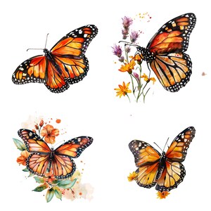 Watercolor Monarch Butterfly Clipart, PNG Digital Files on Transparent ...
