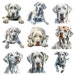 Watercolor Silver Labs Clipart, Labrador Retrievers PNG Digital Files ...