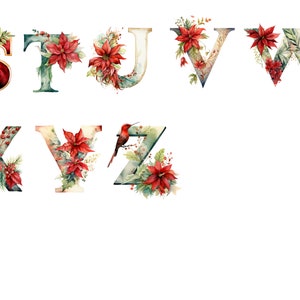 Christmas Flower Alphabet, Poinsettia Letters Png, Alphabet Png ...