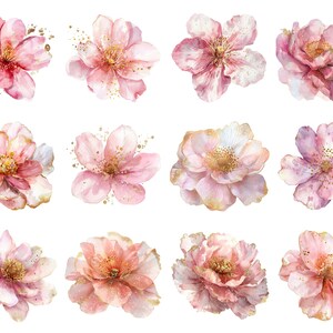 Watercolor Pink Abstract Flowers Clipart, PNG Individual Images on ...